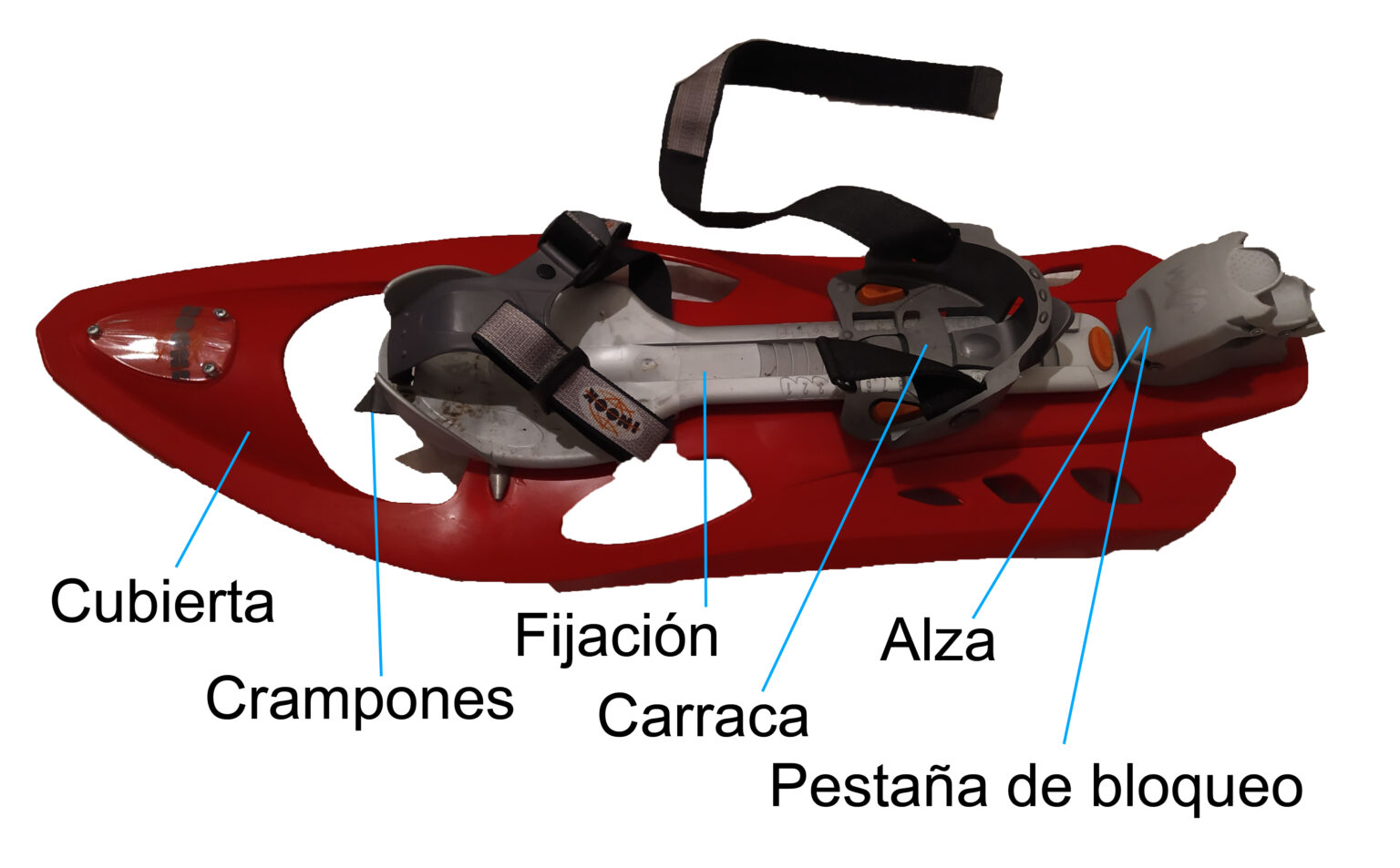 ᐅ Cómo usar las raquetas de nieve - PEAKSLOVERS